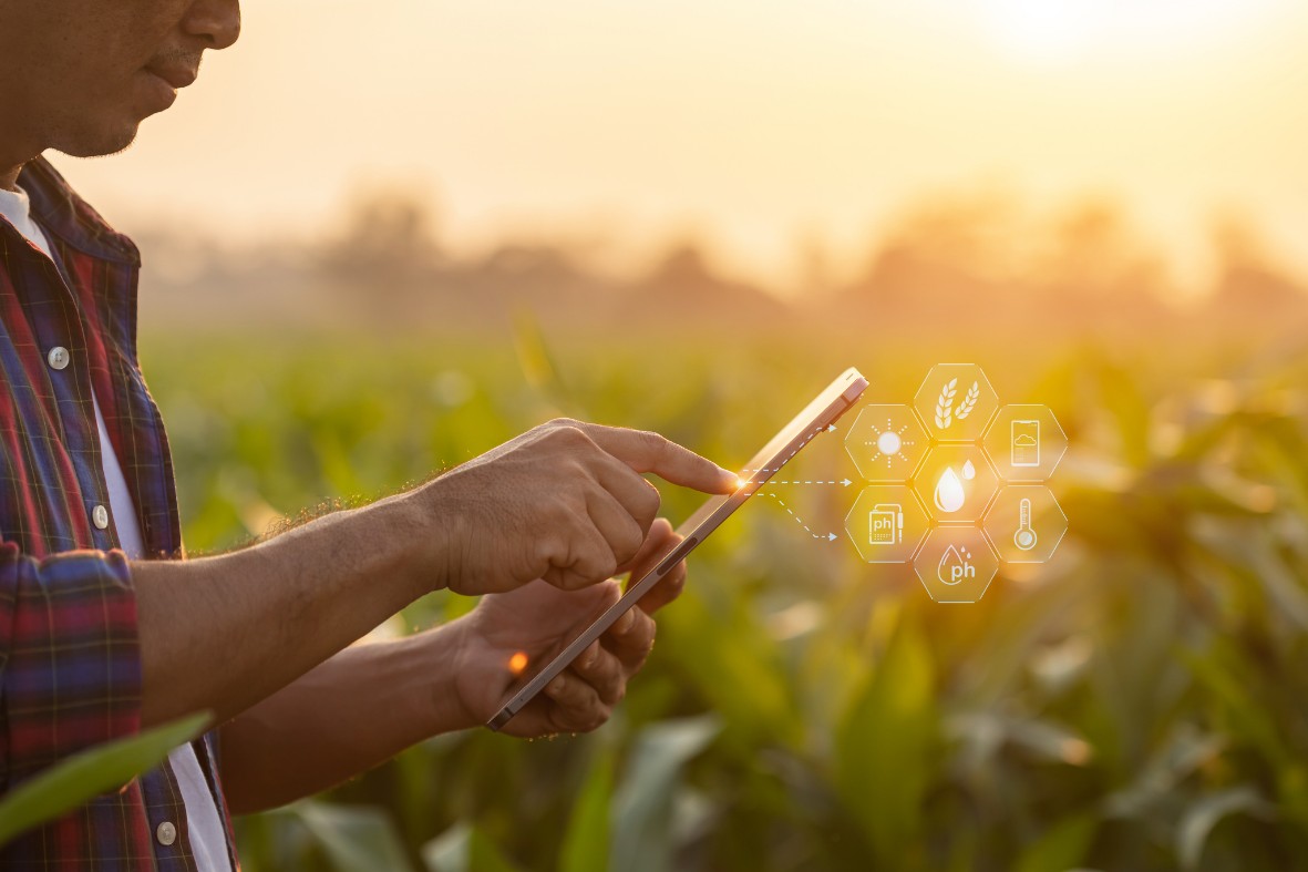 Sensoriamento remoto: entenda o que é e como funciona