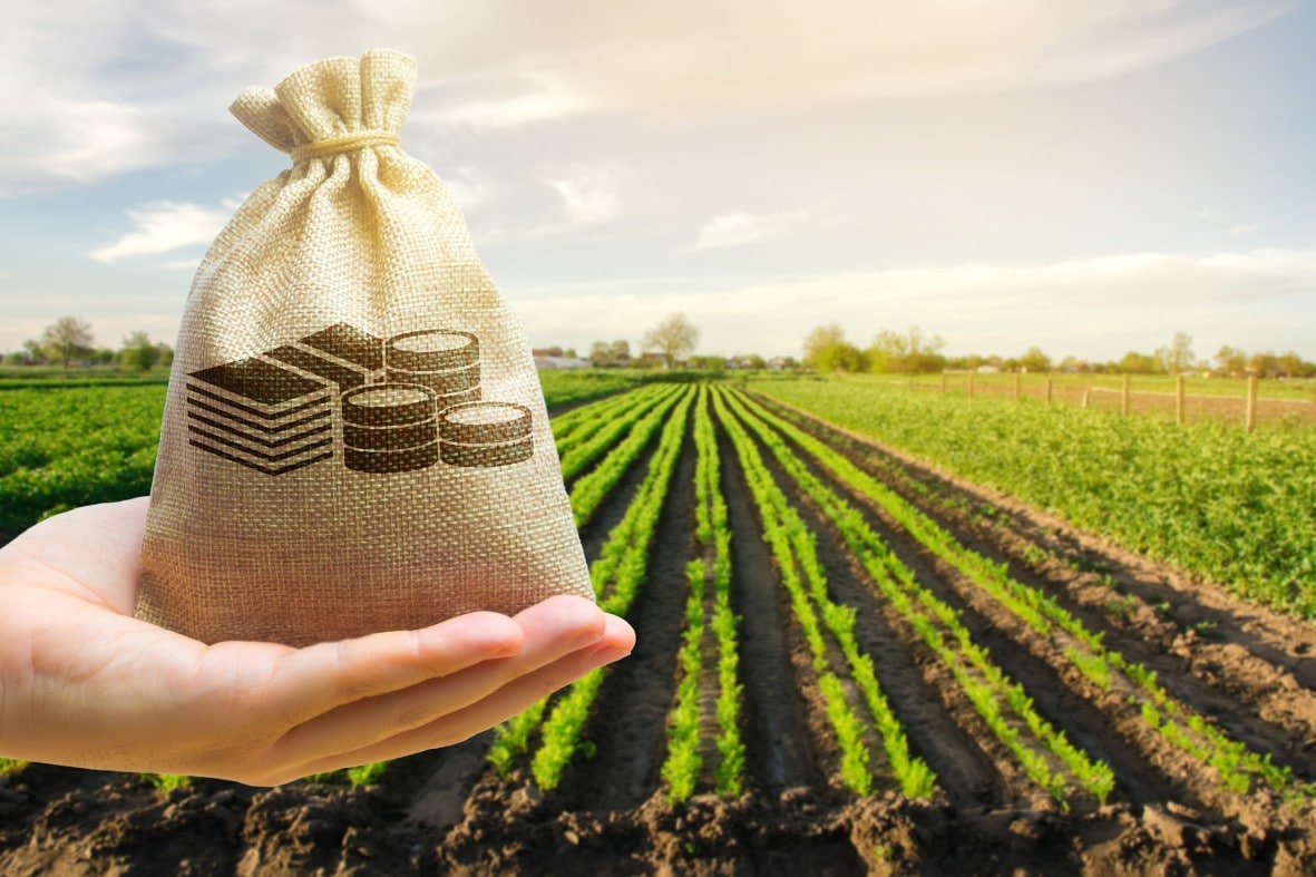 Penhor rural: como conseguir crédito rural através dele?
