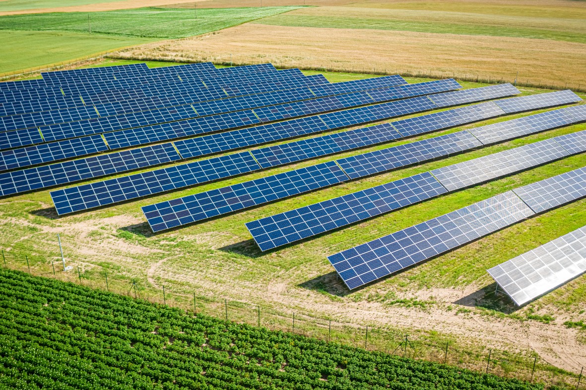 Agrovoltaico: confira quais os benefícios desse sistema